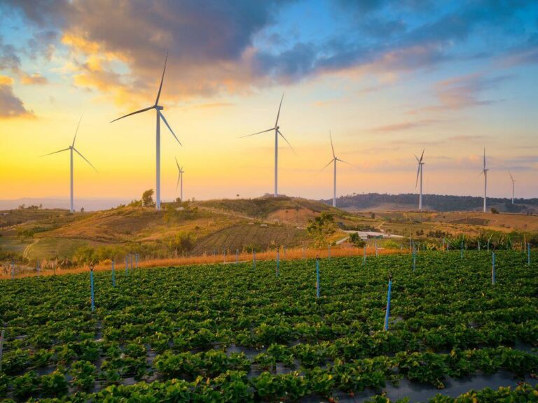 Celebrating the International Day of Clean Energy • Volane International